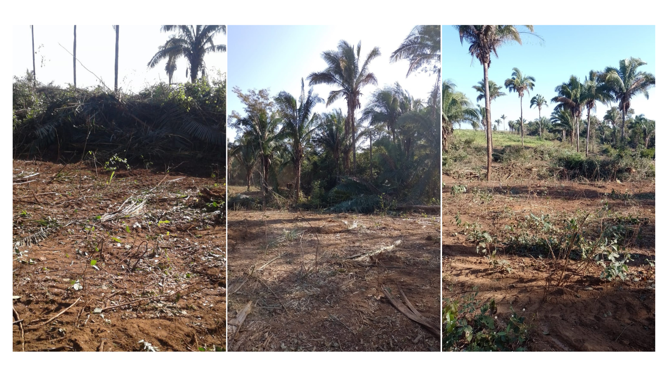 Incra reconhece território quilombola Peixes e comunidade denuncia ...
